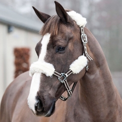 protège chanfrein pour cheval