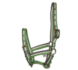 Licol cheval et poney - Esprit Equitation