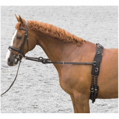 Gogue cheval et poney