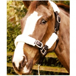 protège chanfrein pour cheval