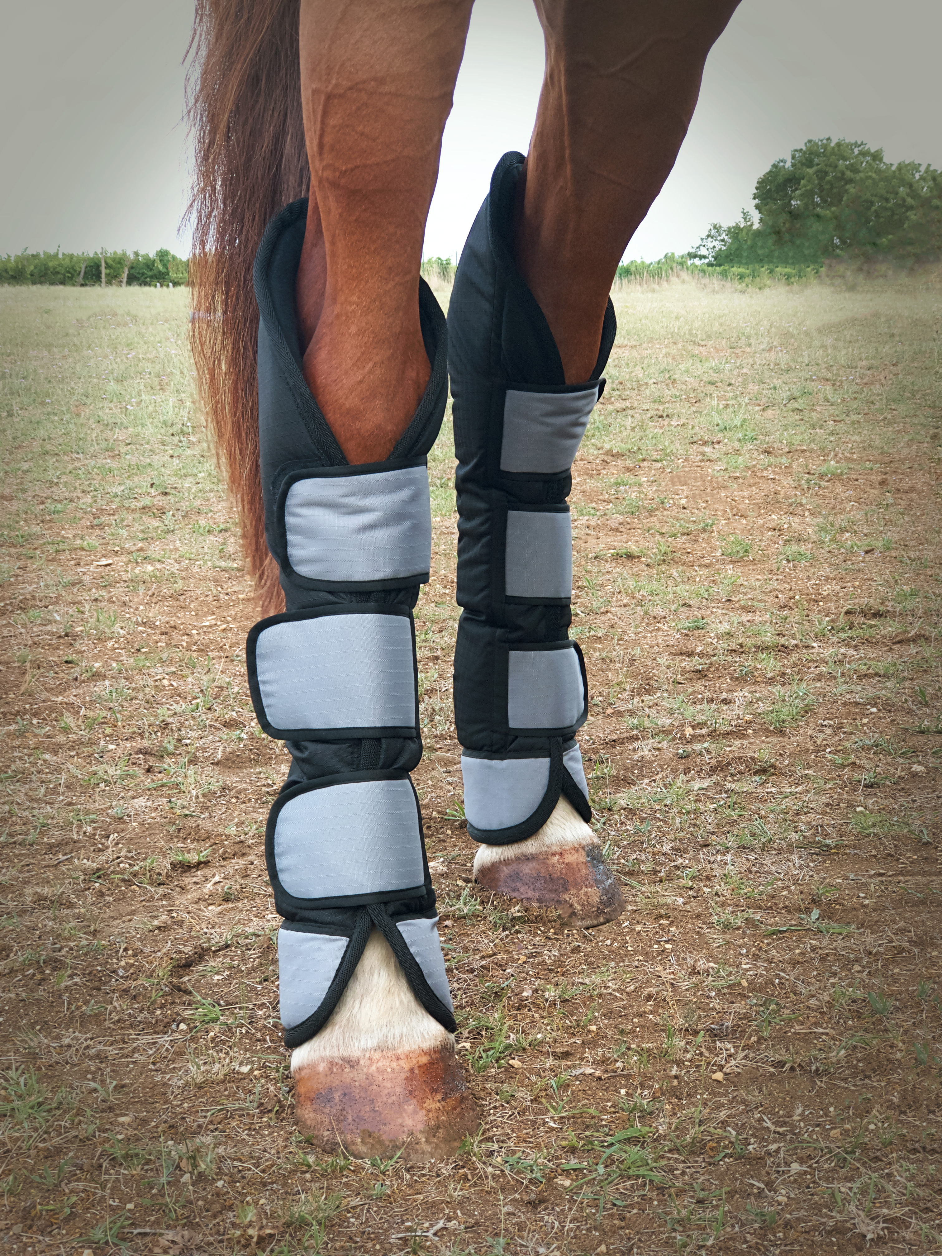 Les protections de transports DMH – Blog Esprit-Equitation, équipement ...