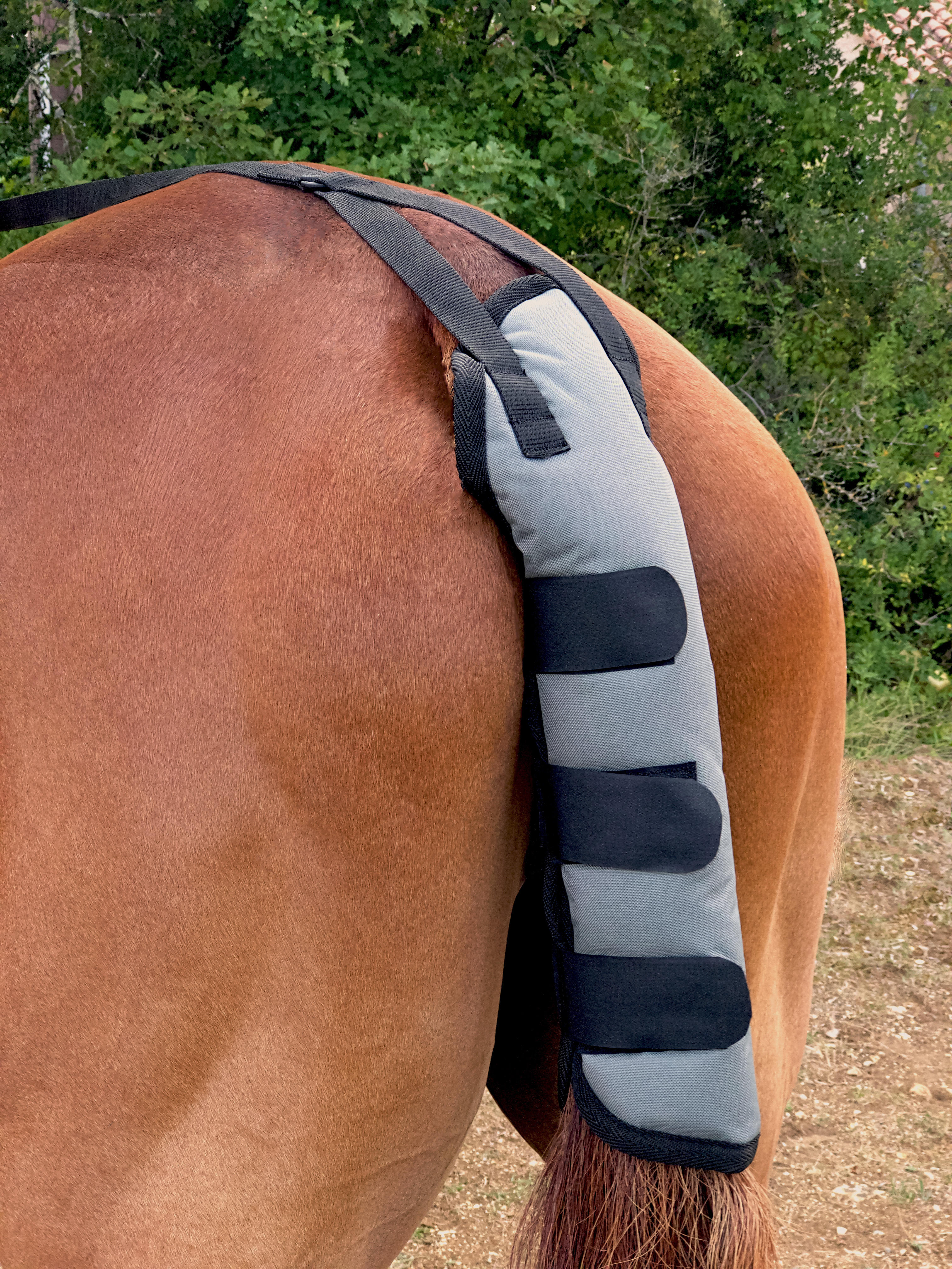 Les protections de transports DMH – Blog Esprit-Equitation, équipement ...